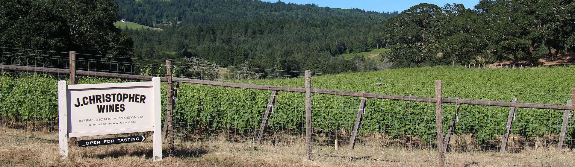 Contact - J. Christopher Wines