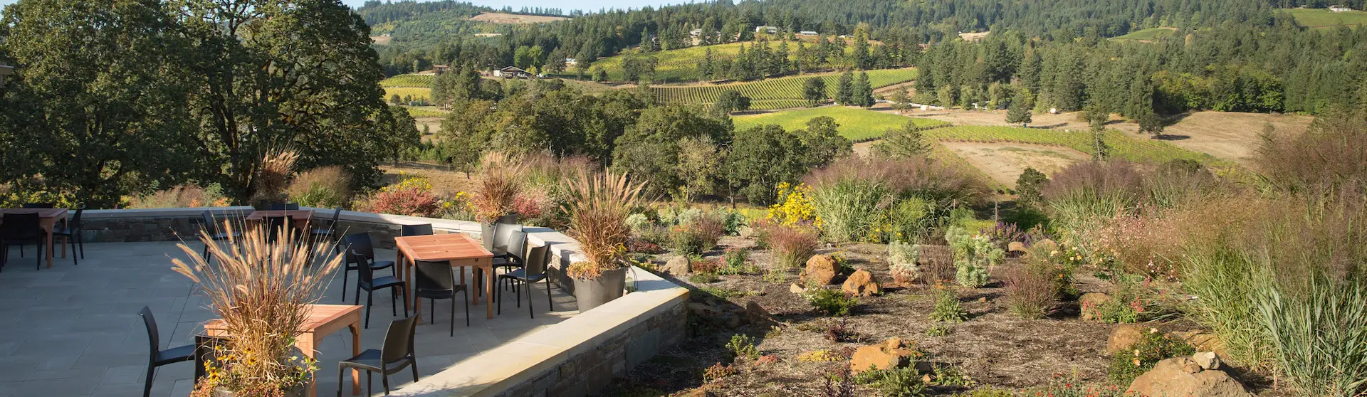 About - J. Christopher Wines